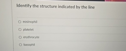 Solved Identify the structure indicated by the | Chegg.com