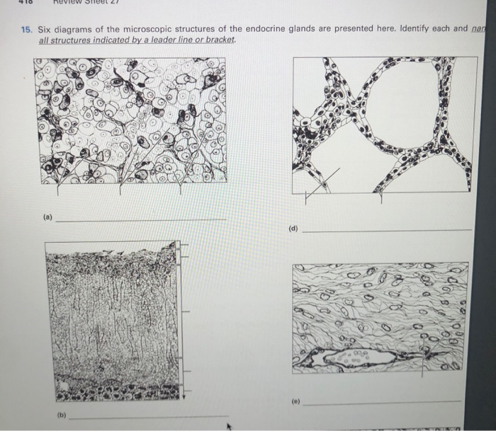 Solved 15. Six diagrams of the microscopic structures of the | Chegg.com