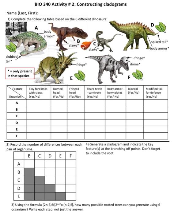 Solved BIO 340 Activity # 2: Constructing cladograms Name | Chegg.com