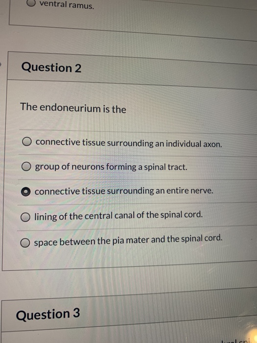 Solved U ventral ramus. Question 2 The endoneurium is the O | Chegg.com