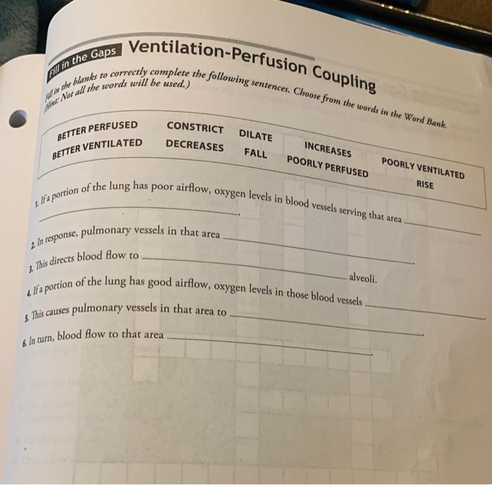 Solved All in the Gaps Ventilation-Perfusion Coupling in the | Chegg.com