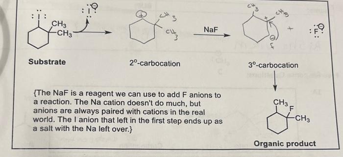 Solved Substrate 2∘-carbocation 3∘-carbocation The NaF is a | Chegg.com