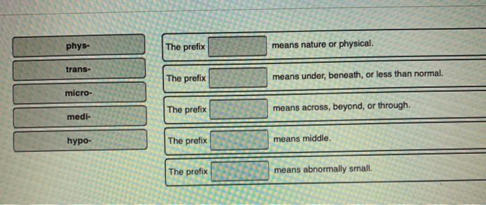 Solved phys- The prefix means nature or physical. trans- The | Chegg.com