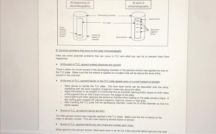 Solved For TLC plate on the right, use the metric ruler to | Chegg.com