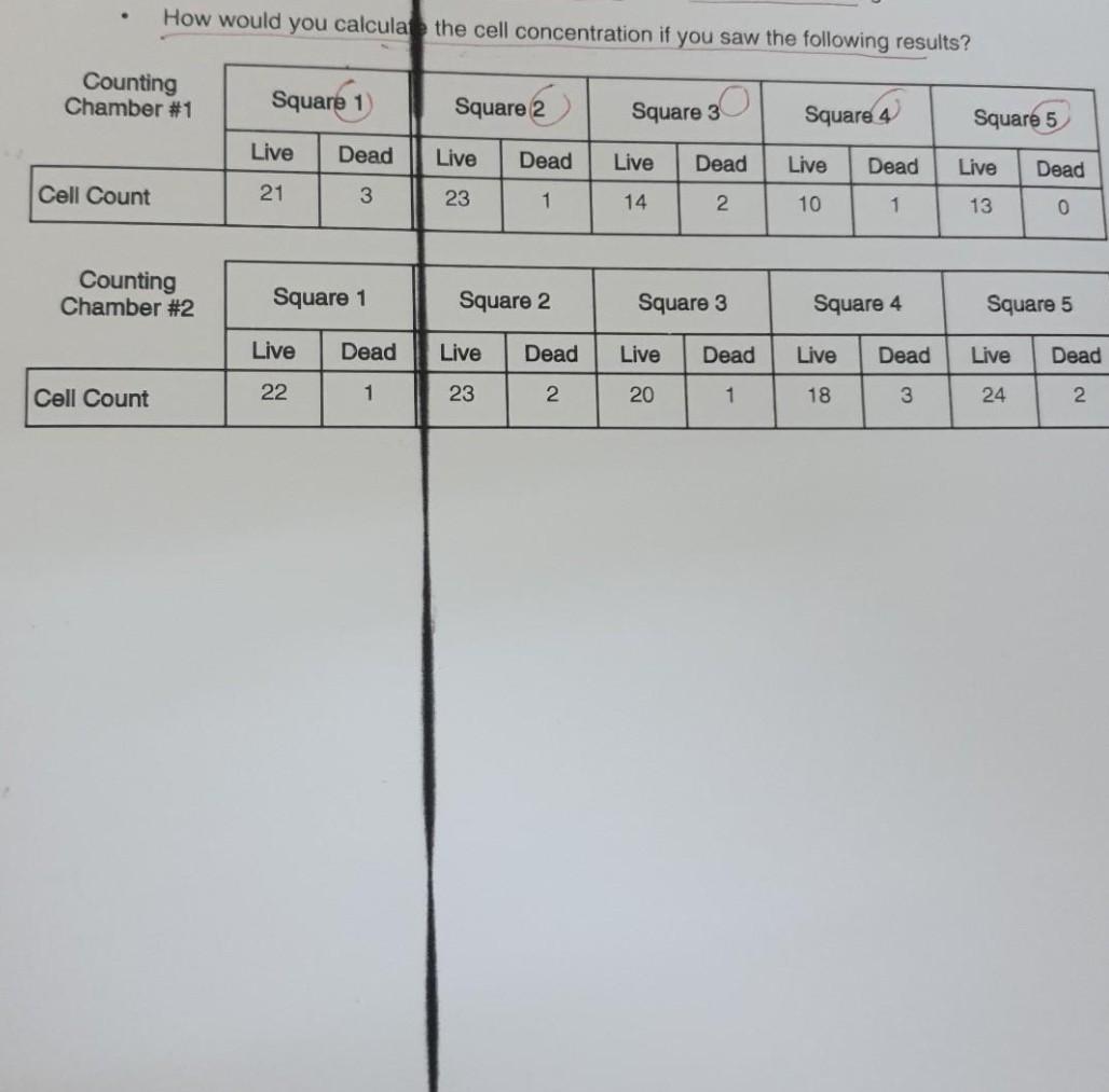 Solved - How would you calcula the cell concentration if you | Chegg.com