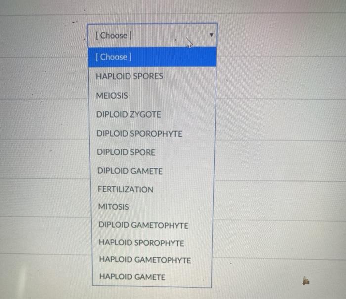 Solved Match each structure or process in the alternation of | Chegg.com Solved Match each structure or process in the alternation of | Chegg.com