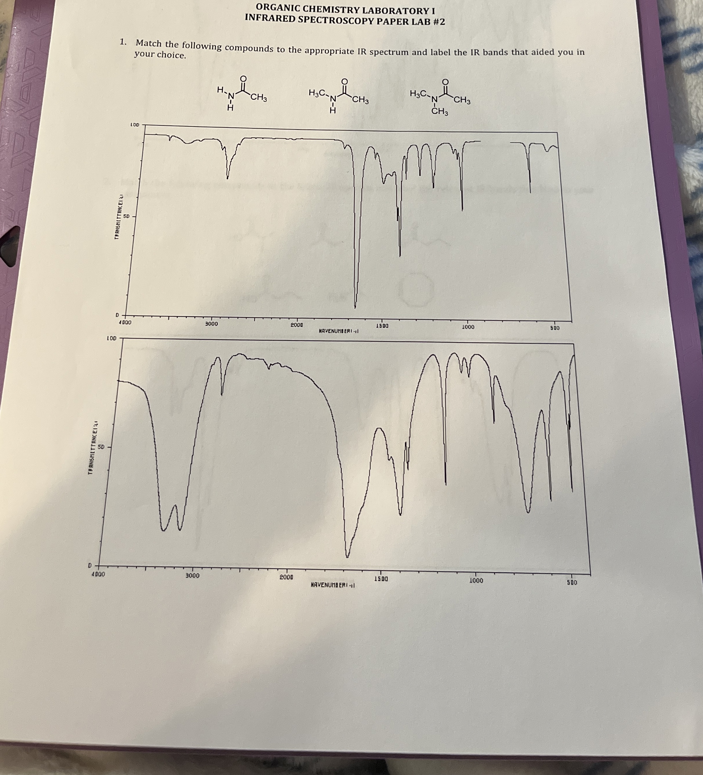 Solved ORGANIC CHEMISTRY LABORATORY I INFRARED SPECTROSCOPY | Chegg.com