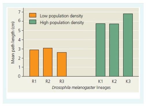 Solved interpret the Data: Evolution of Foraging Behavior in | Chegg.com