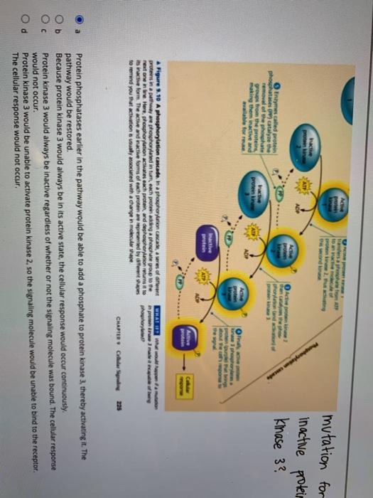 Solved Question 10 (1 point (KCF) Observe the diagram below. | Chegg.com