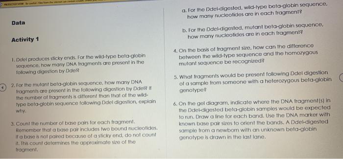 Solved a. For the Ddel-digested, wild-type beta-globin | Chegg.com