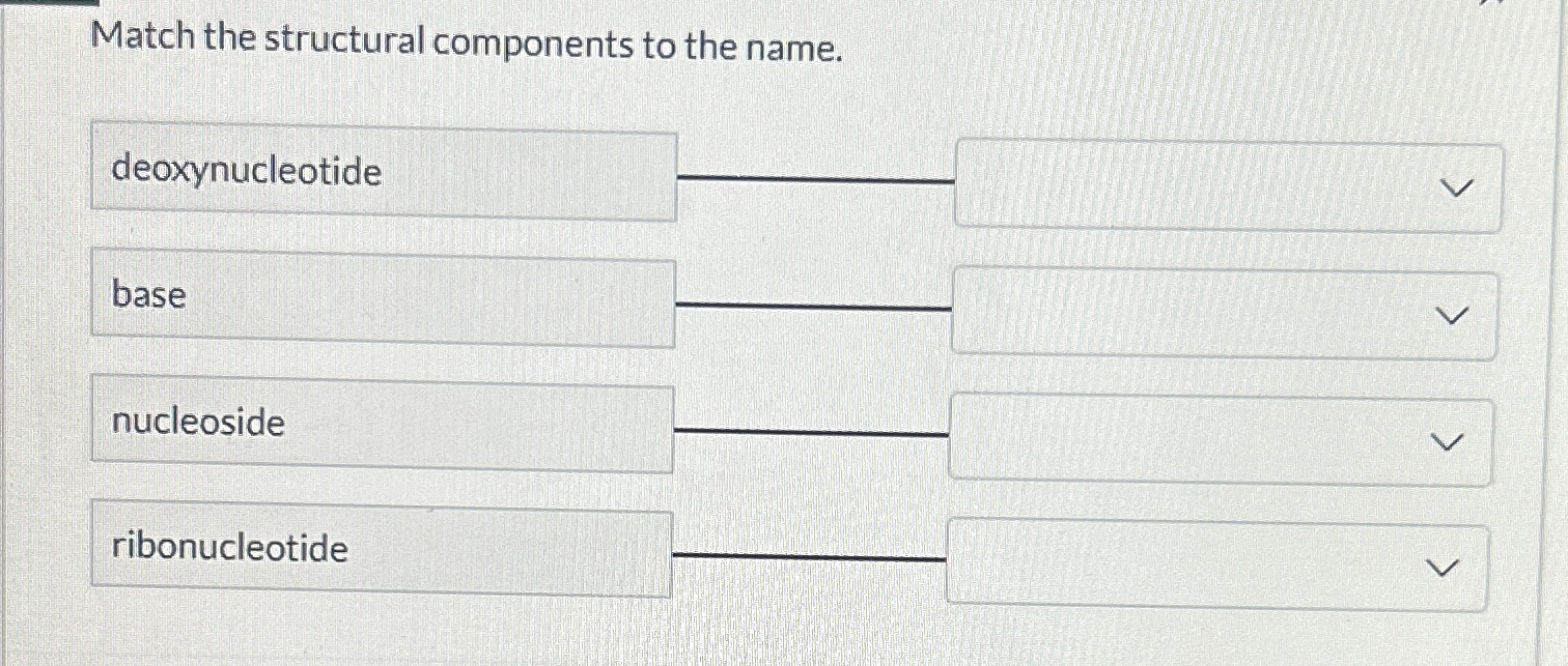 Match the structural components to the name. | Chegg.com