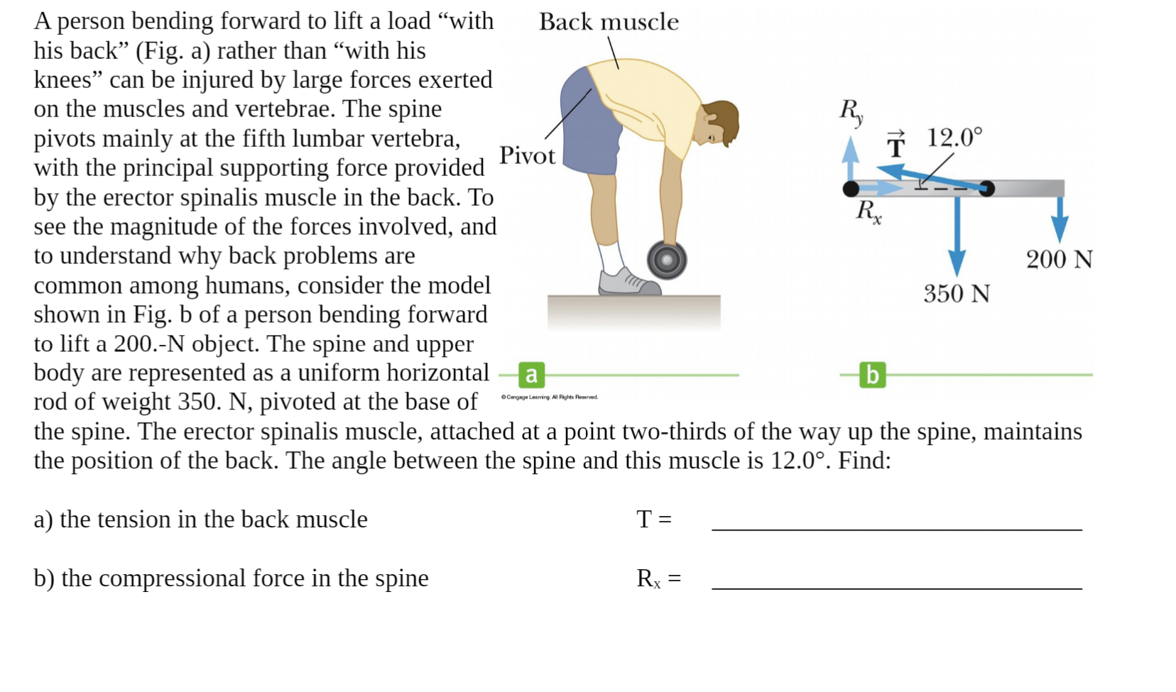 Solved A person bending forward to lift a load "with Rack | Chegg.com