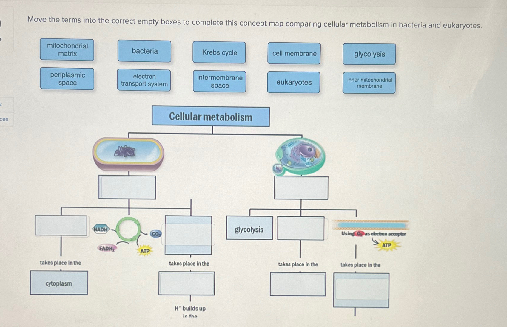 Solved Move the terms into the correct empty boxes to | Chegg.com