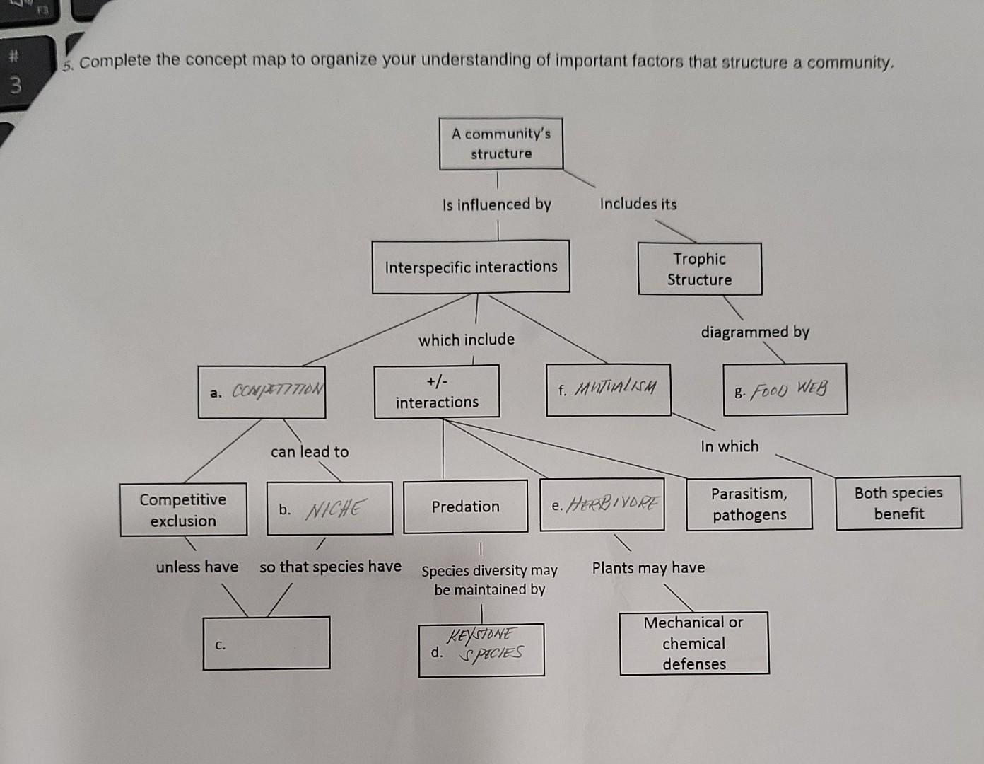 Solved Complete the concept map to organize your | Chegg.com