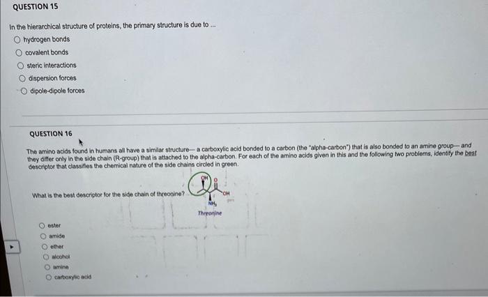 Solved In the hierarchical structure of proteins, the | Chegg.com
