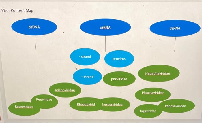Solved Virus Concept Map dsDNA SSRNA dsRNA - strand provirus | Chegg.com