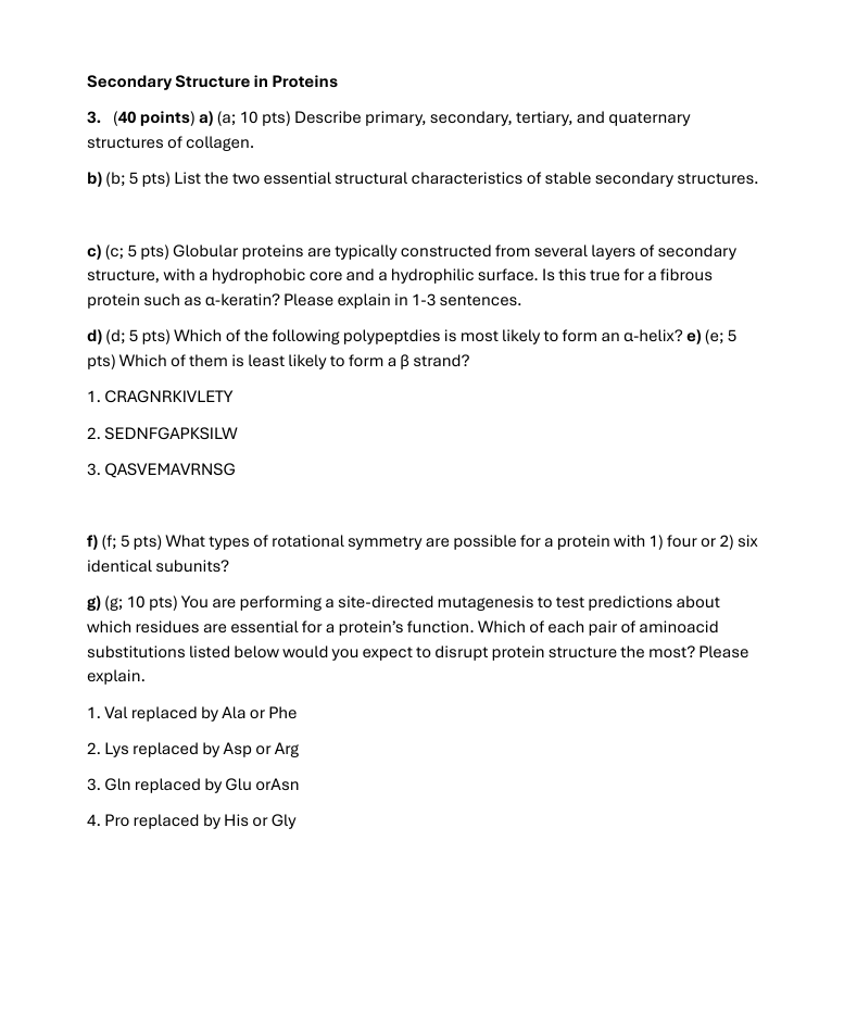 Solved Secondary Structure in Proteins | Chegg.com