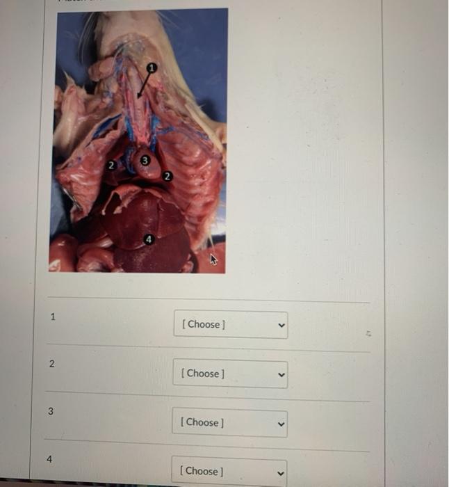 1 3 2 4 [Choose [Choose 3 [Choose] 4 [Choose] 3 1 4 | Chegg.com