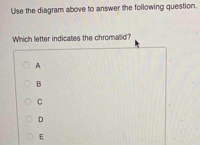 Solved Use the diagram above to answer the following | Chegg.com