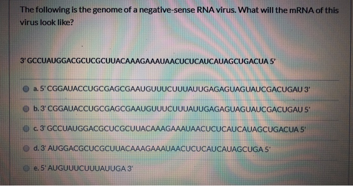 Solved The following is the genome of a negative-sense RNA | Chegg.com