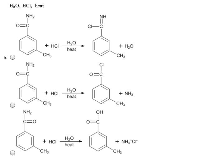 Solved What product forms when 3-methylbenzamide, CH, | Chegg.com