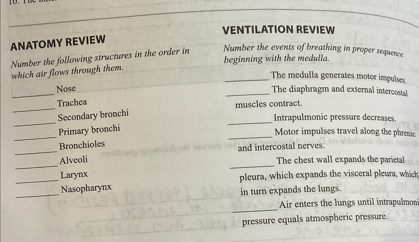 Solved ANATOMY REVIEWNumber the following structures in the | Chegg.com