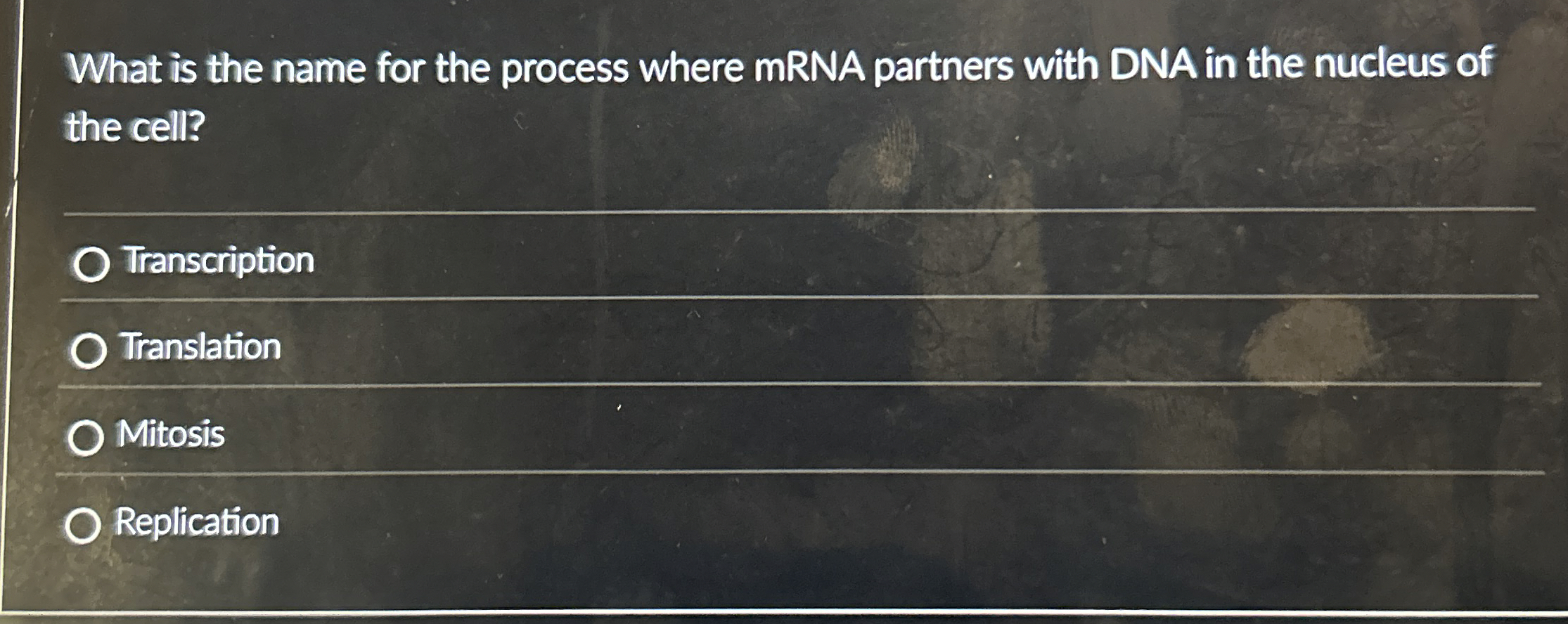 Solved What is the name for the process where mRNA partners | Chegg.com