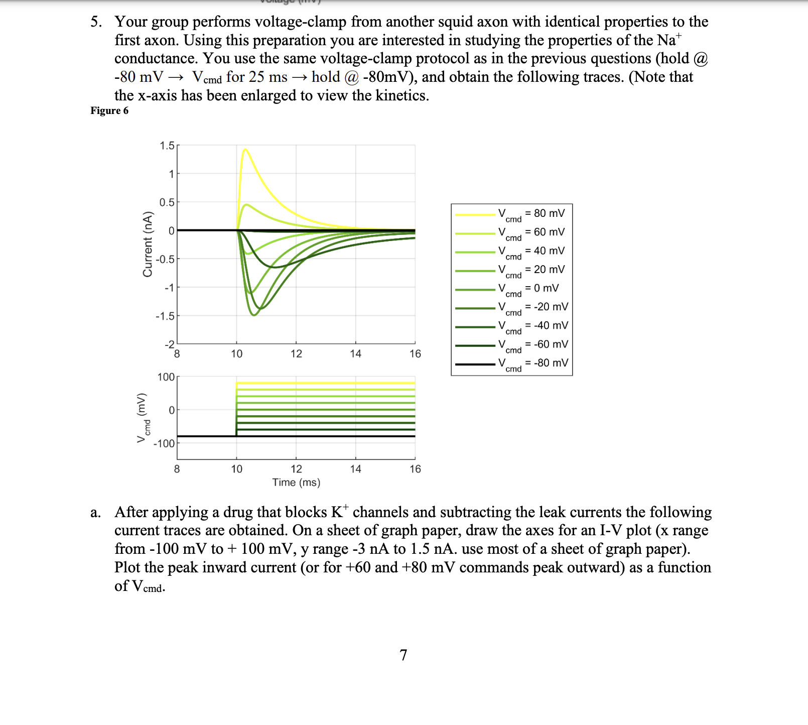 Your group performs voltage-clamp from another squid | Chegg.com