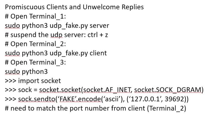 Sniffing and Spoofing using Python and Scapy O Packet | Chegg.com