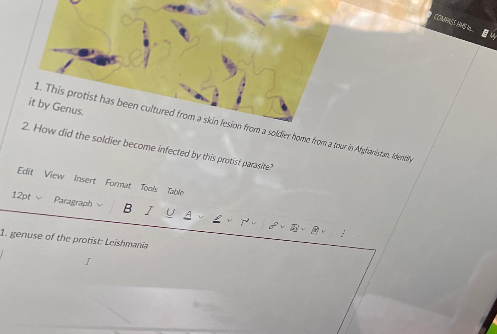 Solved This protist has been cultured from a skin lesion | Chegg.com