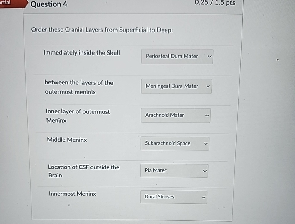 Solved Question 4Order these Cranial Layers from Superficial | Chegg.com