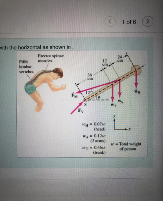 Solved HW8-Ch9 Item 1 1 of 6 Assume that trunk of a person | Chegg.com