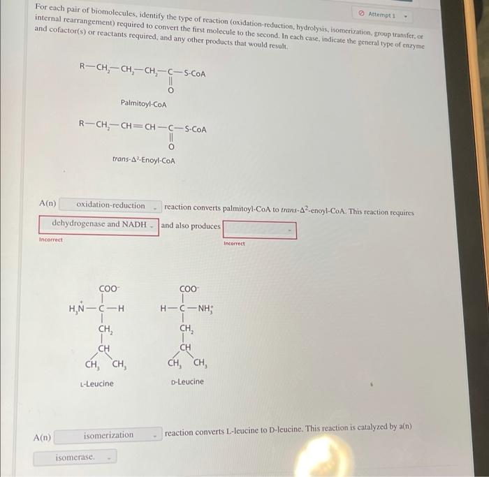 Solved For each pair of biomolecules, identify the type of | Chegg.com