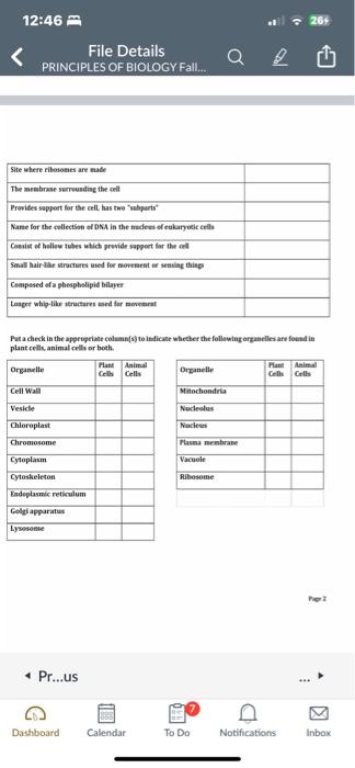 Solved Cell Orgaaelles Fractice Werkshest Complete the | Chegg.com