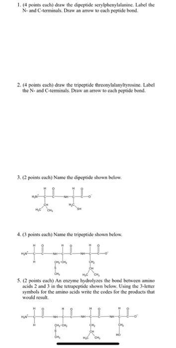 Solved 1. (4 points cach) draw the dipeptide | Chegg.com