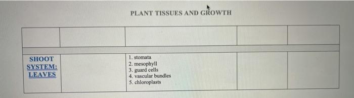 Solved PLANT TISSUES AND GROWTH Table 1 NOTES ARRANGEMENT OF | Chegg.com