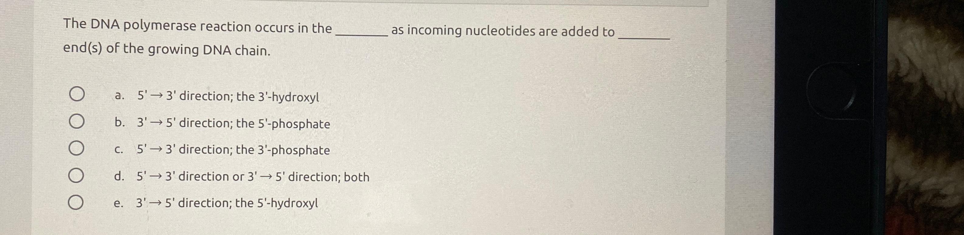 Solved The DNA polymerase reaction occurs in the as incoming | Chegg.com