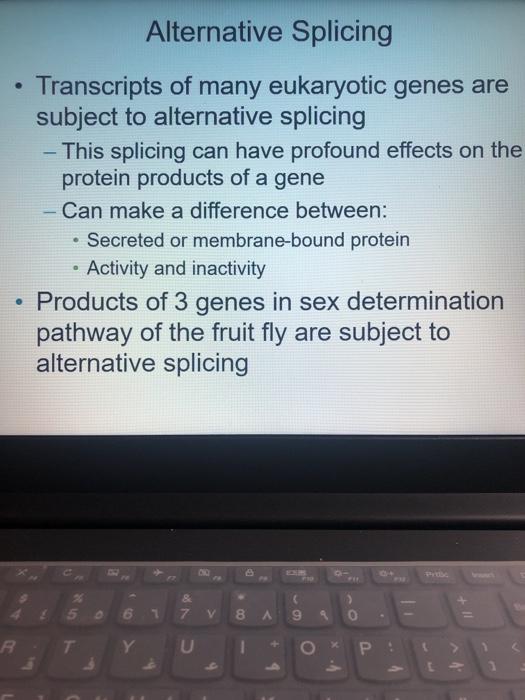 Solved Alternative Splicing Transcripts of many eukaryotic | Chegg.com