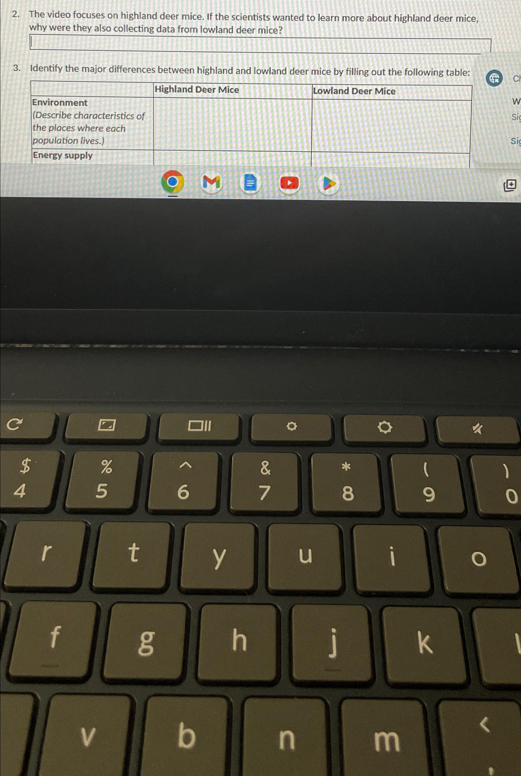 Solved The video focuses on highland deer mice. If the | Chegg.com