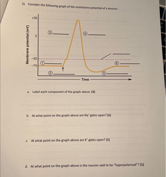 Solved 5) Consider the following graph of the membrane | Chegg.com
