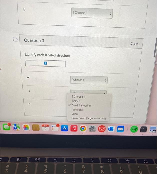 Solved Identify each labeled structure | Chegg.com