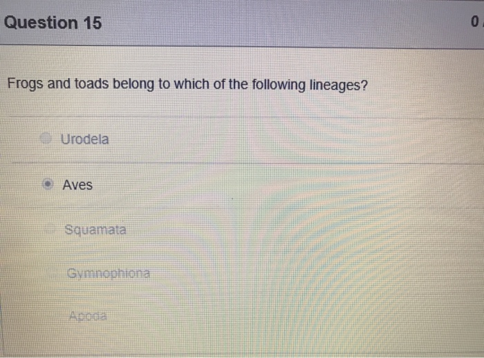 Solved Question 15 0 Frogs and toads belong to which of the | Chegg.com