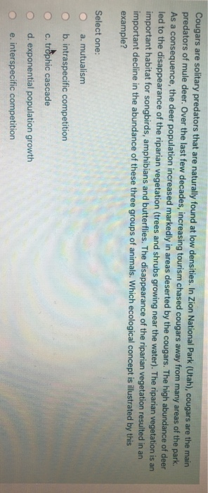 Solved Cougars are solitary predators that are naturally | Chegg.com