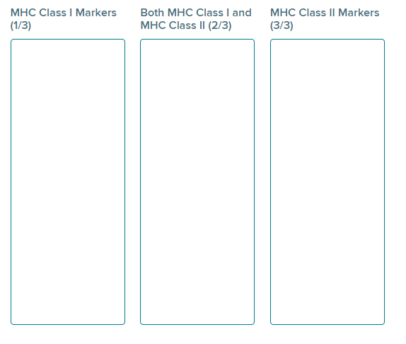 Solved Classify each trait according to whether it applies | Chegg.com