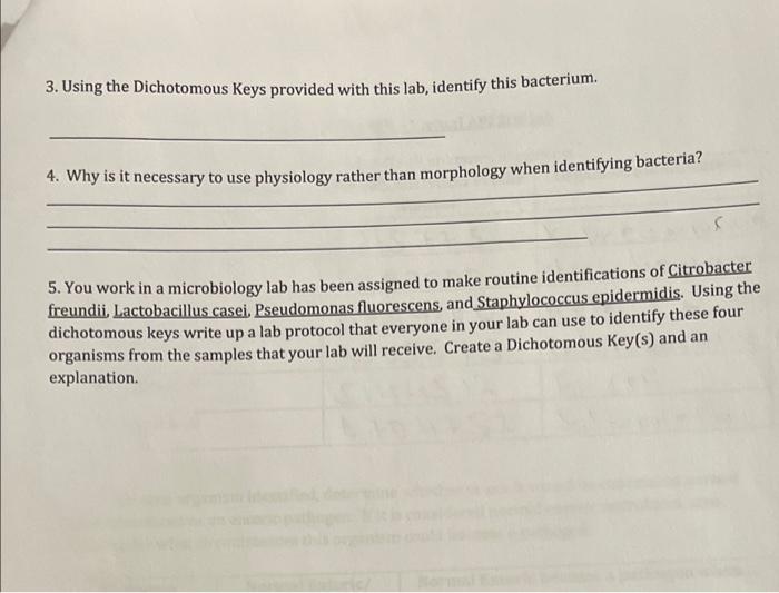 3. Using the Dichotomous Keys provided with this lab, | Chegg.com