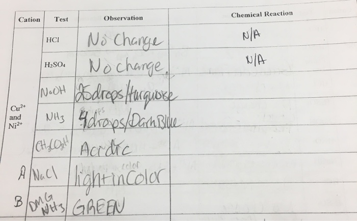 Solved Test Cation Observation Chemical Reaction N/A HCI | Chegg.com