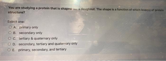 Solved Suppose you discovered a new amino acid. Its R-group | Chegg.com