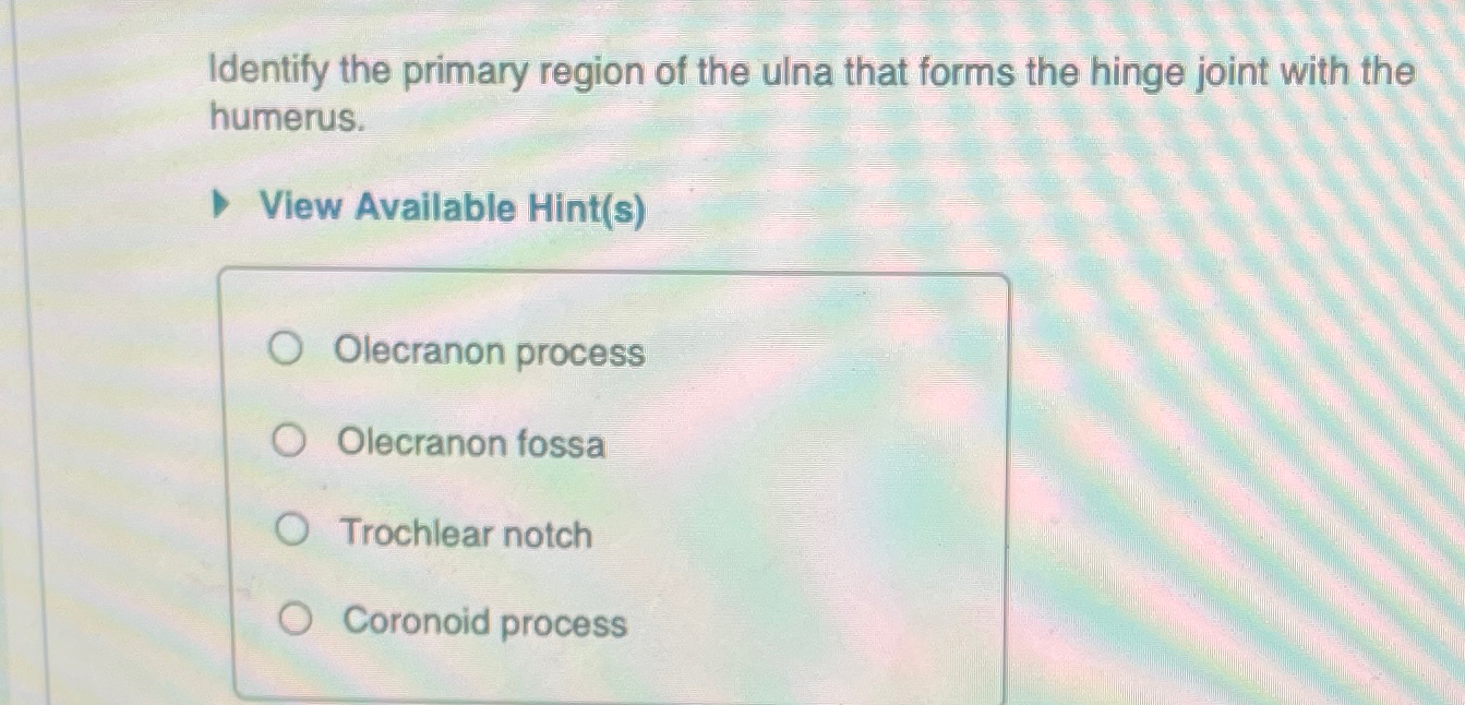 Solved Identify the primary region of the ulna that forms | Chegg.com