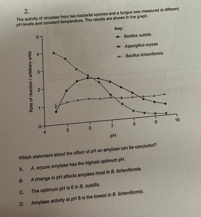 Solved The activity of amylase from two bacterial species | Chegg.com
