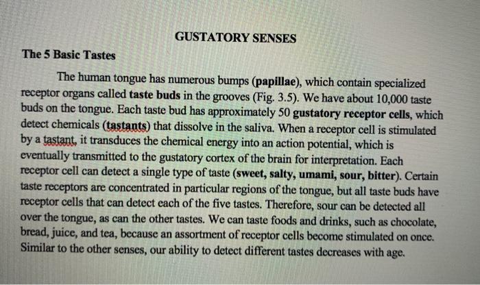 Solved GUSTATORY SENSES The 5 Basic Tastes The human tongue | Chegg.com